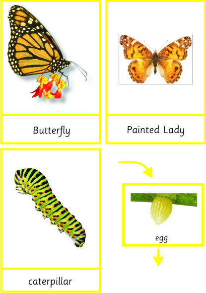 Montessori Butterfly Pack – The Learning Ark