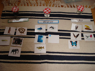 Land, water and Air Animals and Transport – The Learning Ark