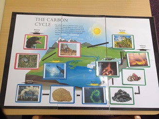 Carbon Cycle Chart and Cards – The Learning Ark